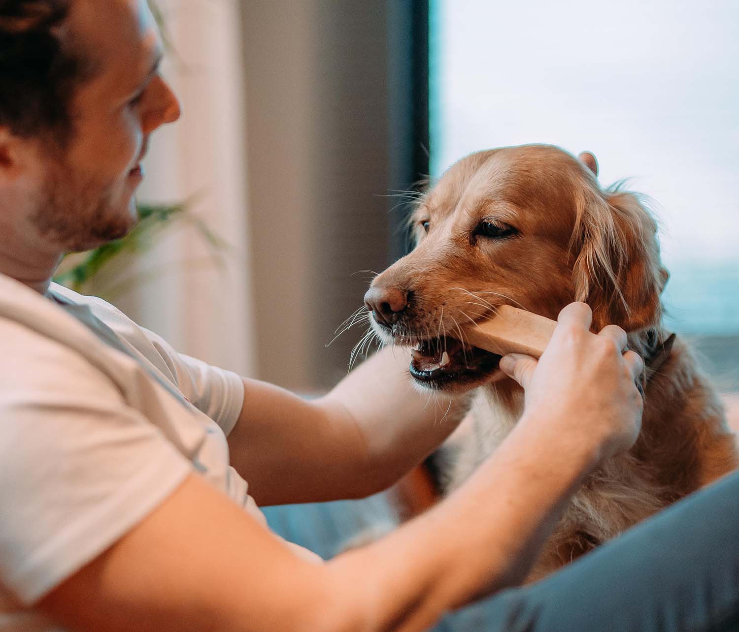 Healthy Dog Delights - Chunky Chewing Sticks - Veggie - Austen Frey
